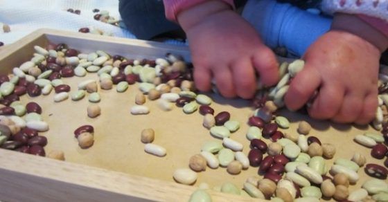 Μέθοδος Montessori: 20 παιδαγωγικοί τρόποι για να κρατήσετε ...