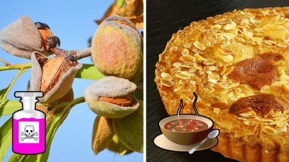10 τοξικά τρόφιμα που μπορεί να σας βλάψουν