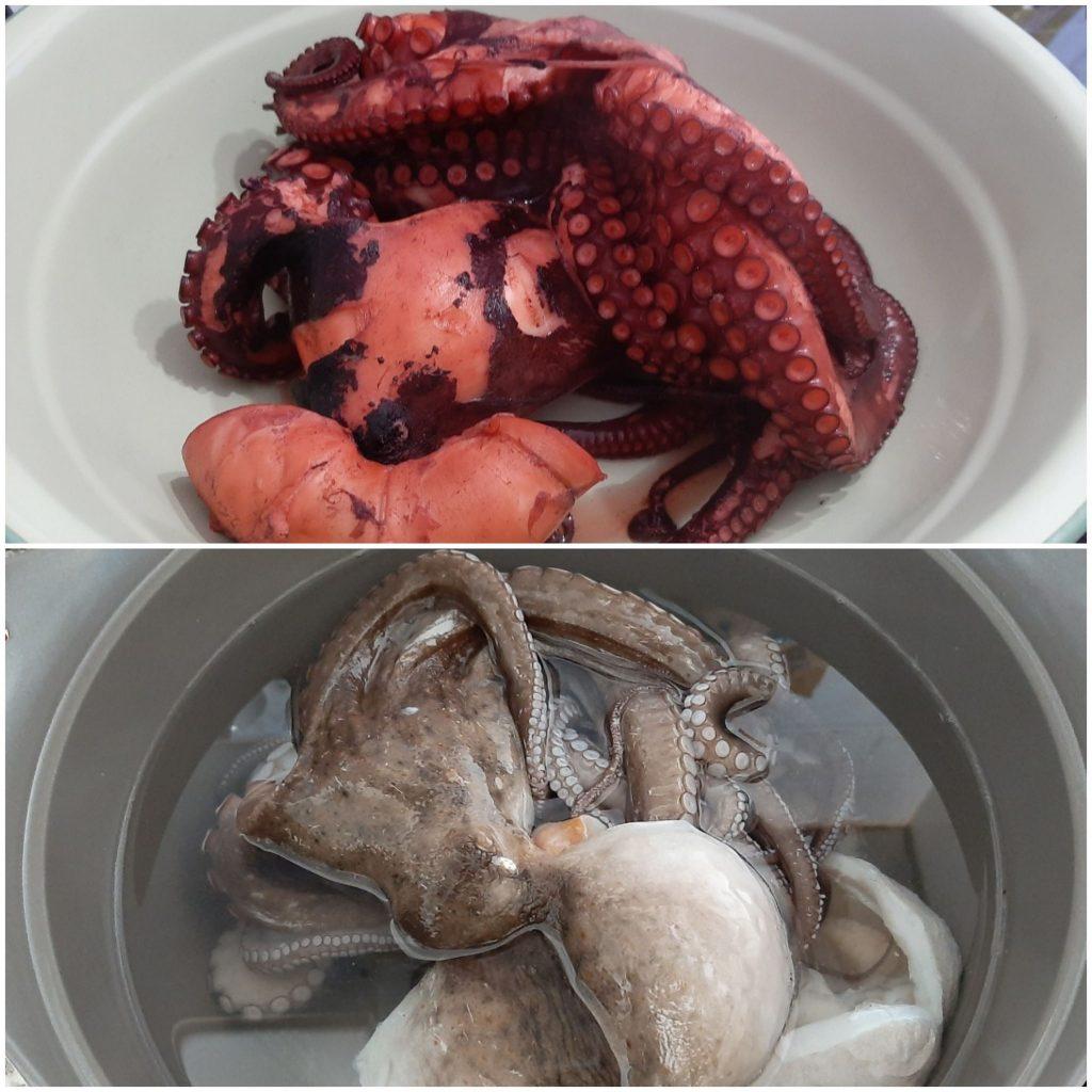 Χταποδάκι ξιδάτο : Η απόλυτη συνταγή