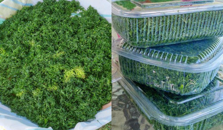 Πως να καταψύξουμε άνηθο - Daddy-Cool.gr