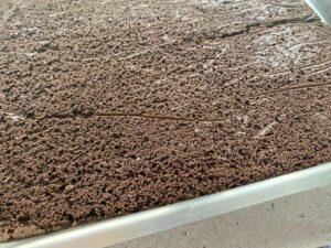 Πάστα ταψιού παρφέ σοκολάτα