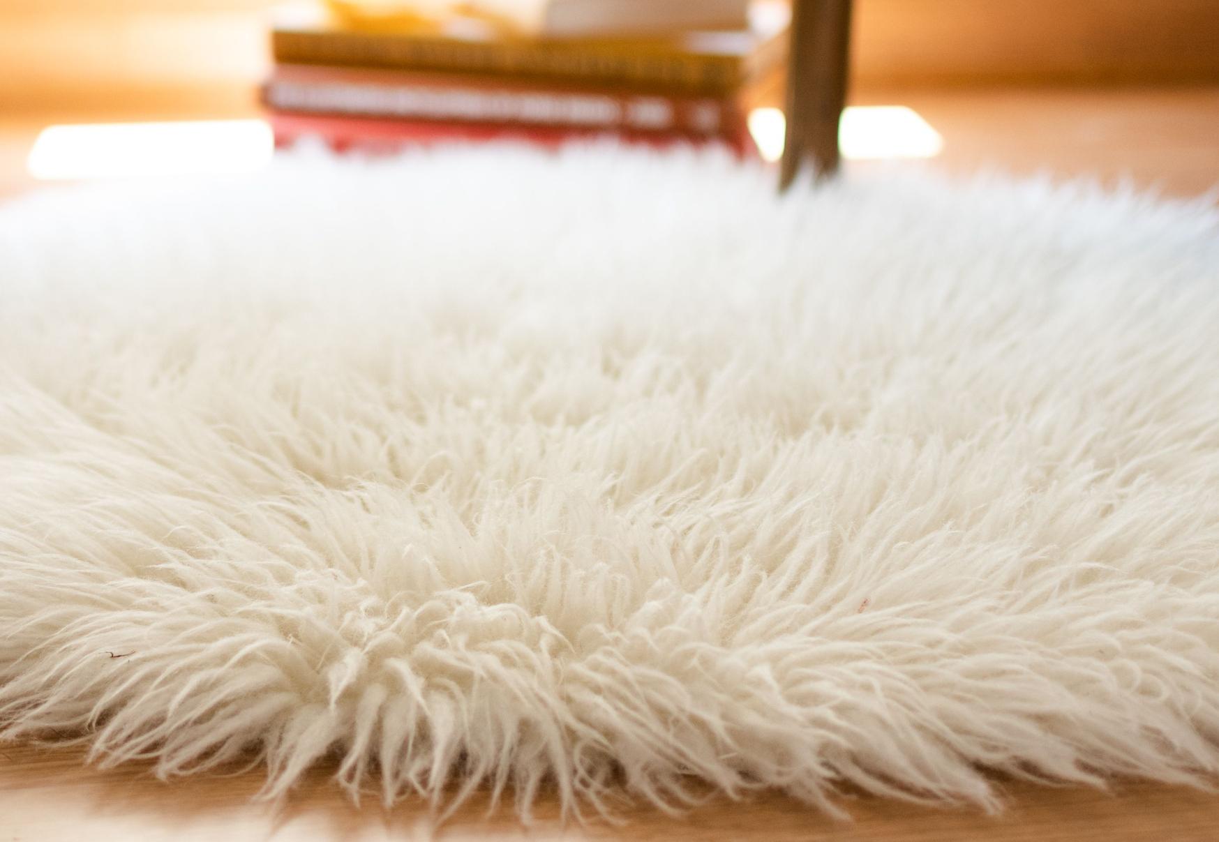 Σκόνη μούχλα και ψόφια έντομα στις φλοκάτες: Πως να τις καθαρίσετε και ...