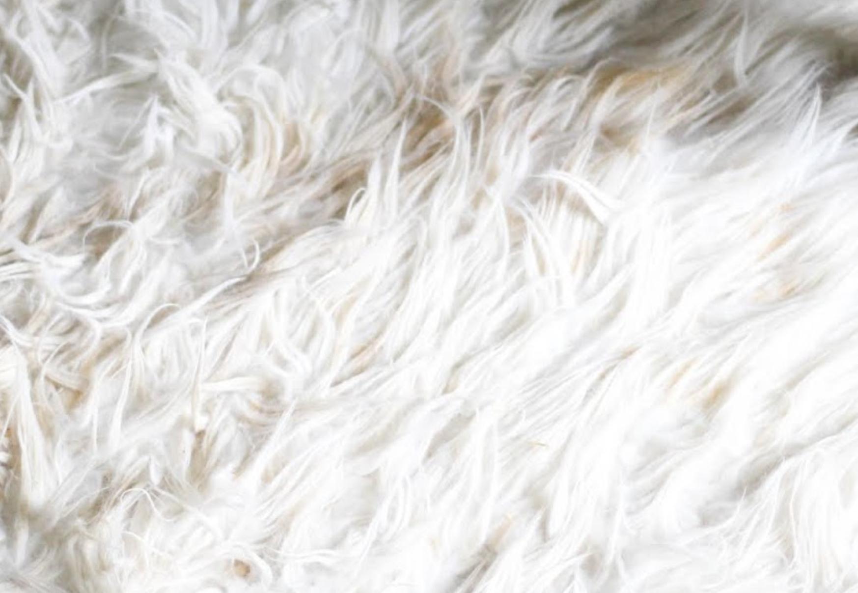 Σκόνη μούχλα και ψόφια έντομα στις φλοκάτες: Πως να τις καθαρίσετε και ...