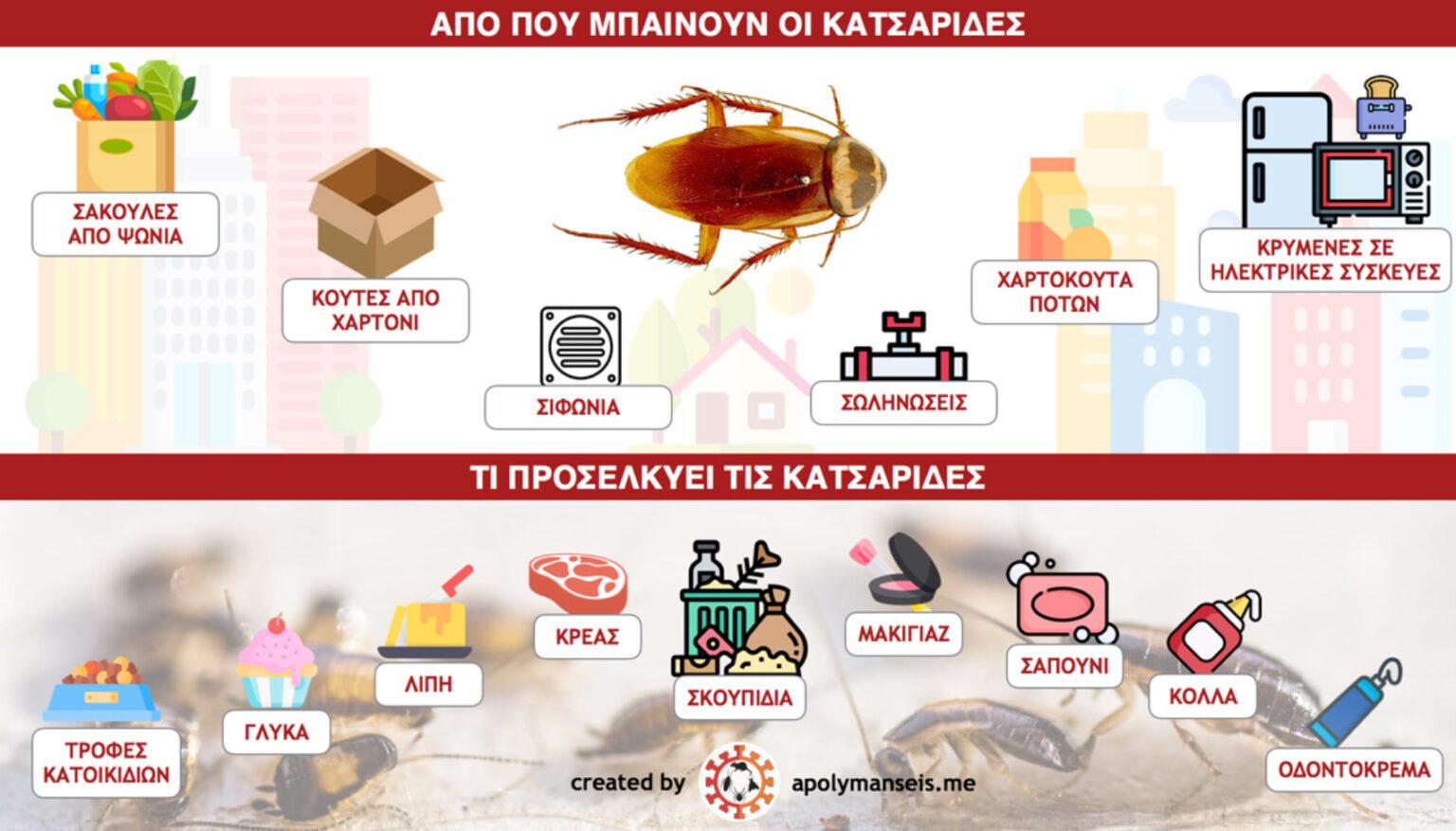 Μεγάλες καφέ κατσαρίδες στο σπίτι: Που κρύβονται και πως να τις ...