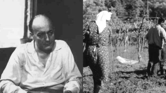 Ξεχάστε όσα Ξέρατε για τα «Εγκλήματα»: Το Μυστικό που Κανείς ...