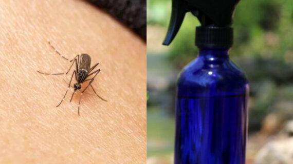 7 κόλπα για να μην σας τσιμπάνε τα κουνούπια το Καλοκαίρι