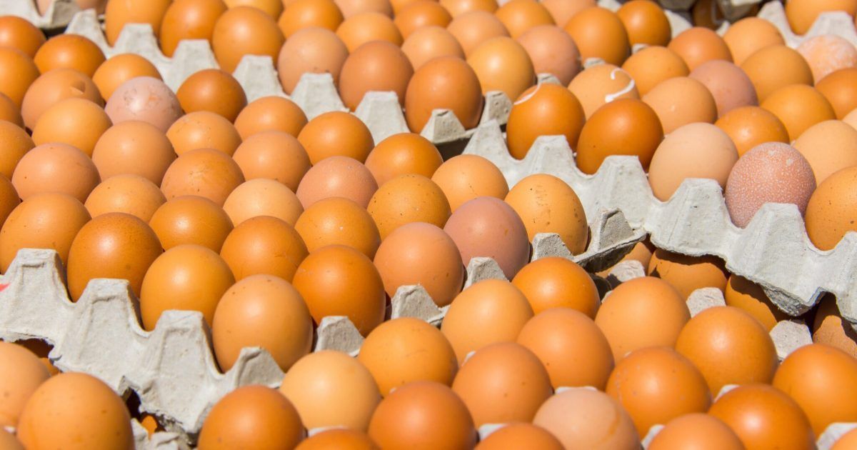 Ανάκληση LIDL: Συναγερμός για μολυσμένα αυγά με σαλμονέλα