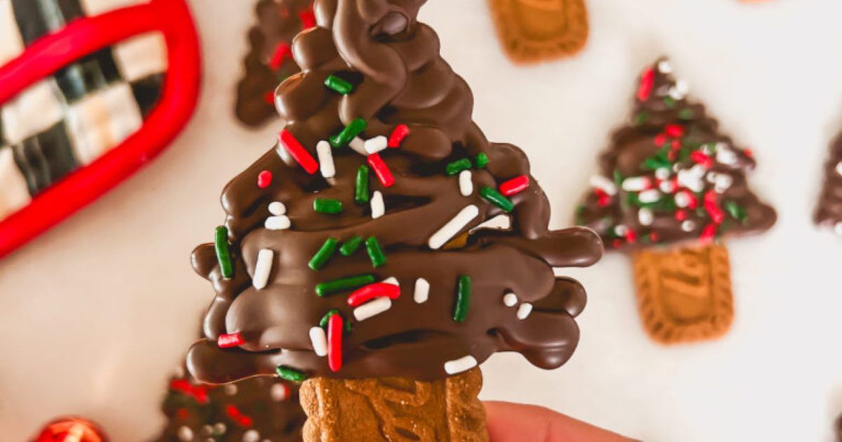 Biscoff Christmas cookies